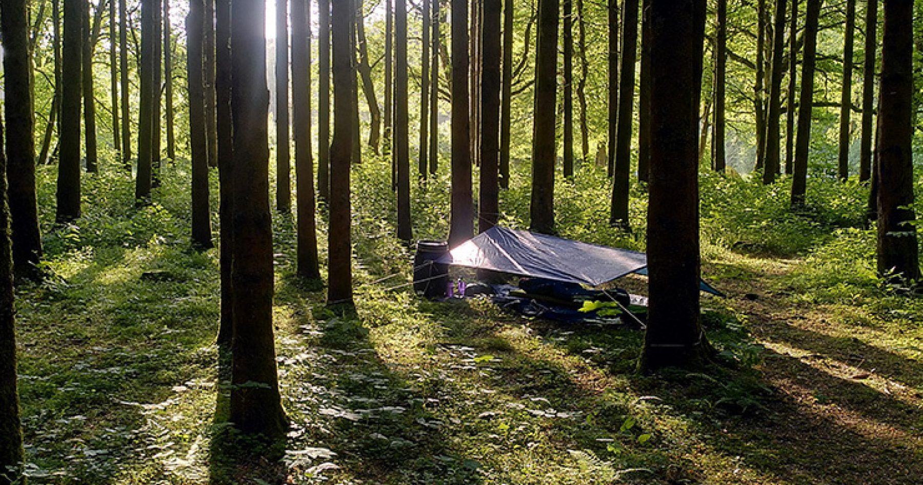 Destination aventure : se reconnecter à soi, aux autres et à la nature ...