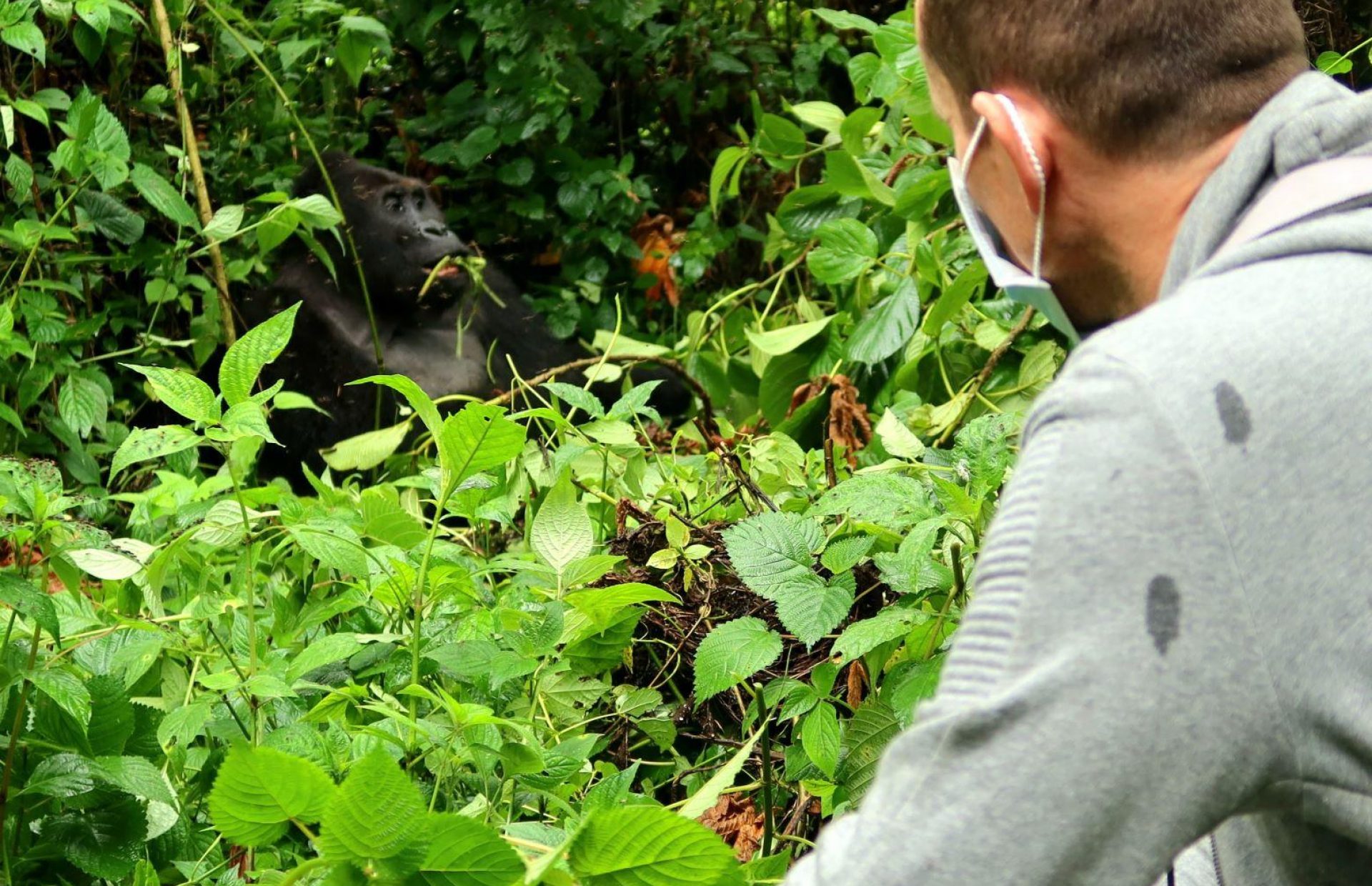 David Bertrand : poser un autre regard sur les animaux, loin des ...