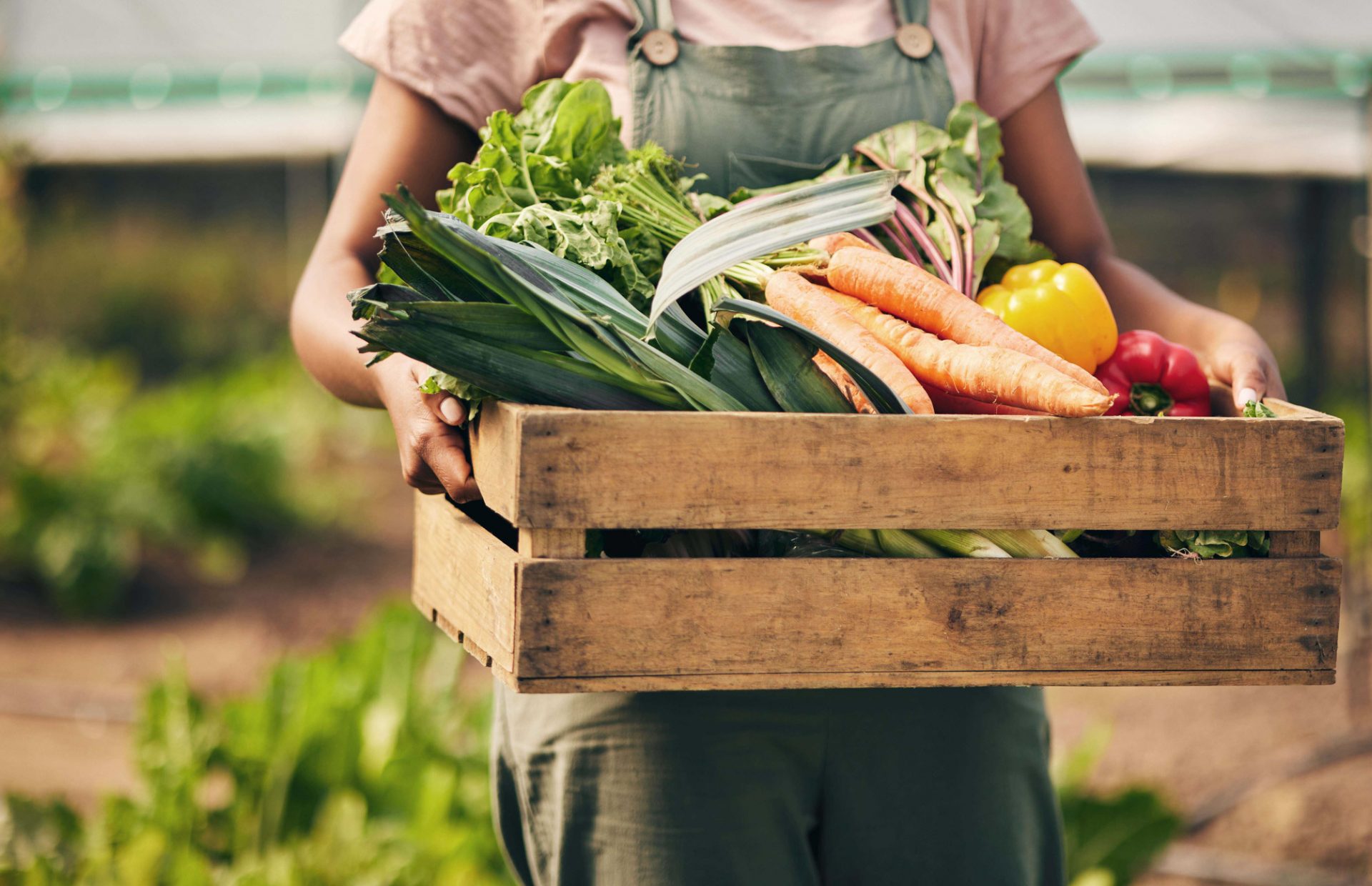 Alimentation durable : une définition complète énoncée par le ...